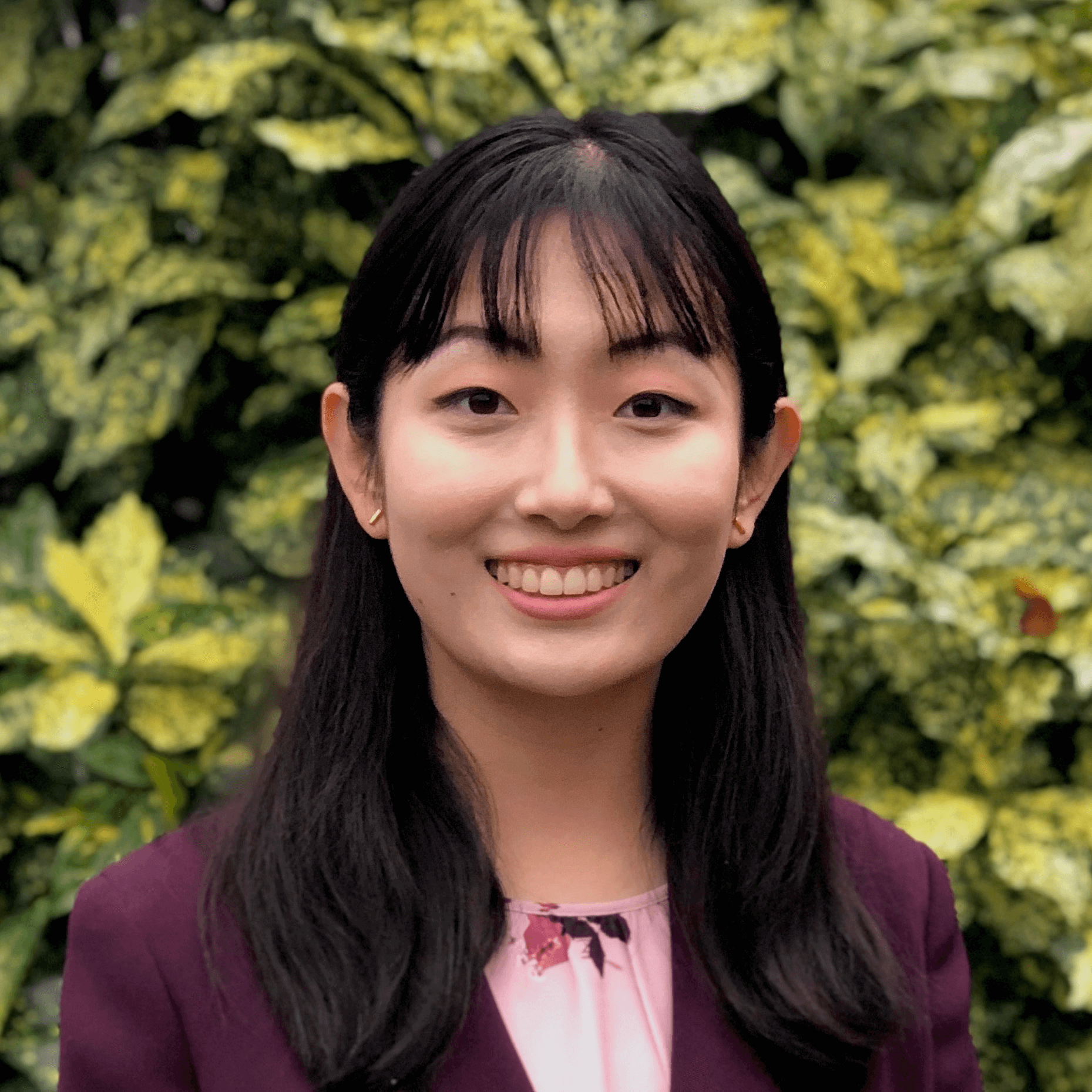 Alliance Française Silicon Valley - Our Team